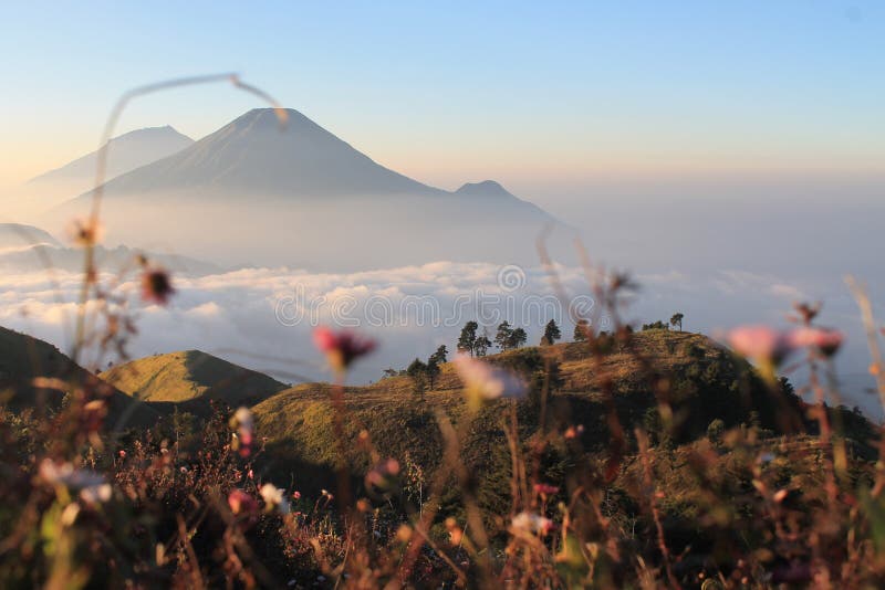 View from Prau Mountain stock image. Image of fresh - 266554597