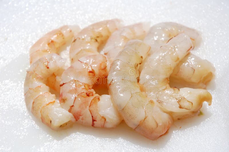 Prawn stock photo. Image of organic, cooking, protein - 13792408