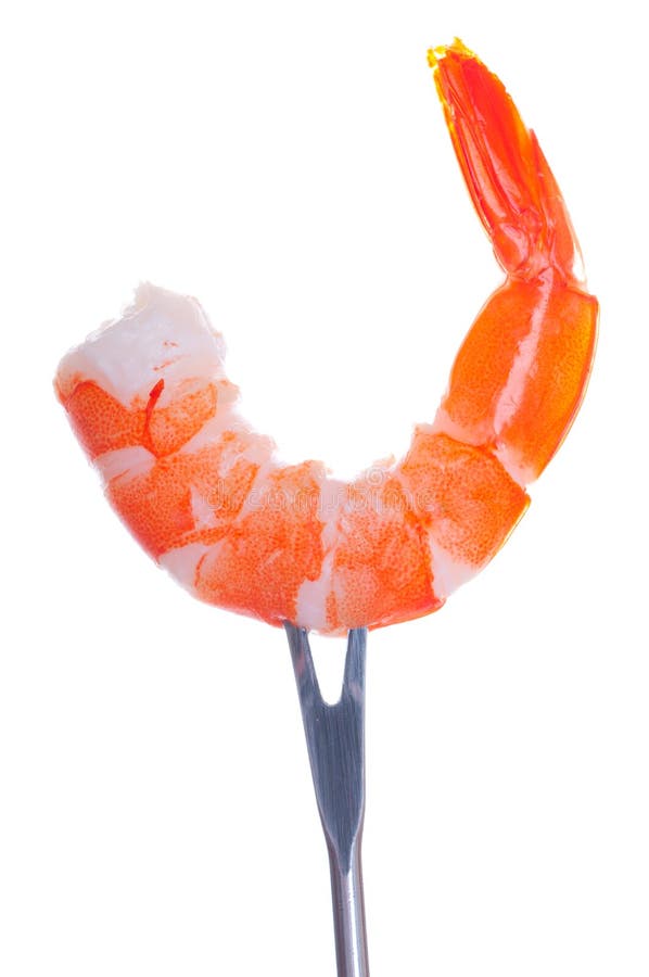 Prawn and fork stock photo. Image of fauna, animal, tasty - 1550992