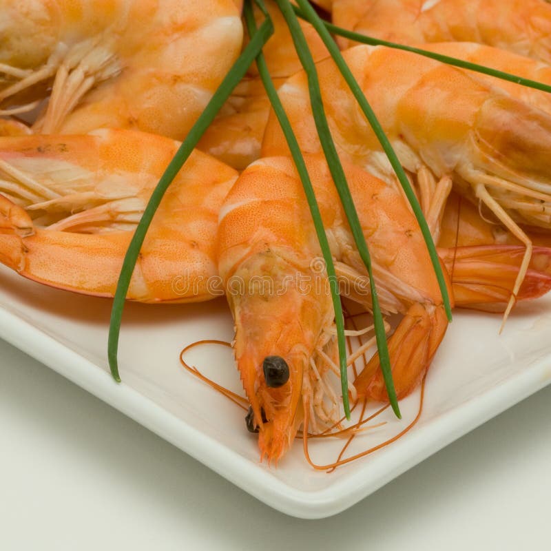 Prawn appetizer plate stock image. Image of prawn, food - 3411795