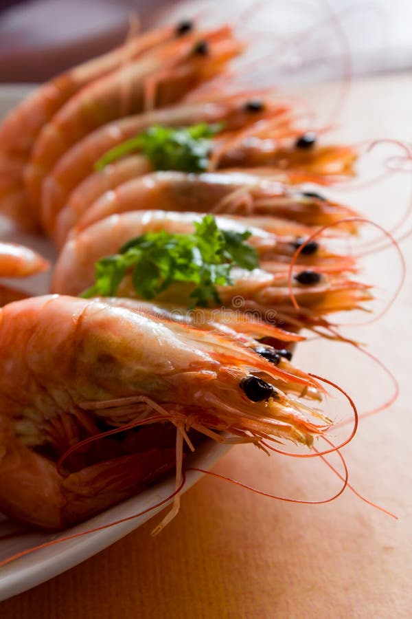 Prawn stock image. Image of tasty, healthy, salad, cook - 32232191