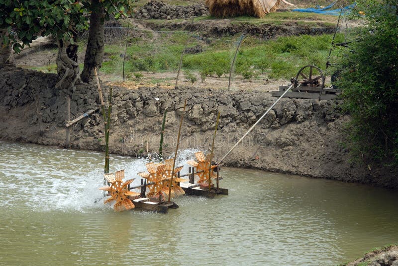 Prawn Farming stock image. Image of machinery, motor - 24730499