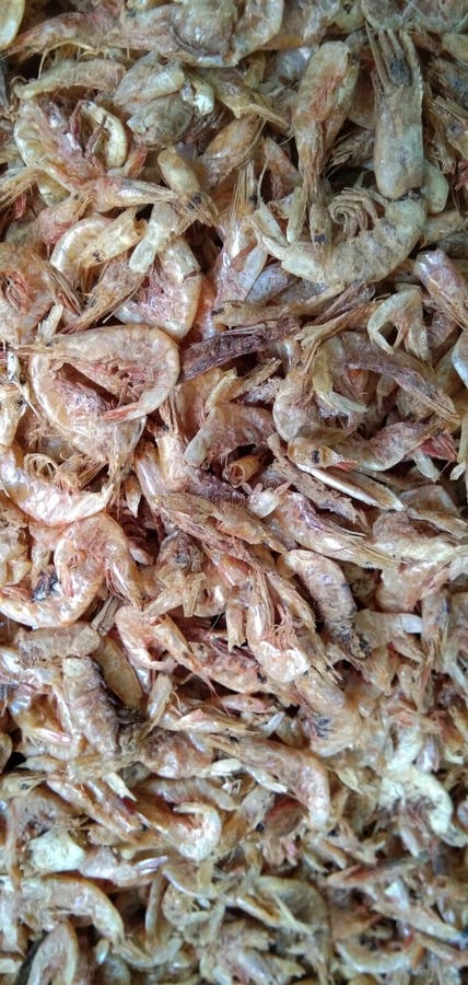 Prawn fish dry stock photo stock image. Image of flower - 218715241