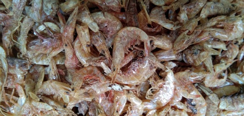 Prawn Fish Dry Stock Photography Stock Photo - Image of animal, dish ...