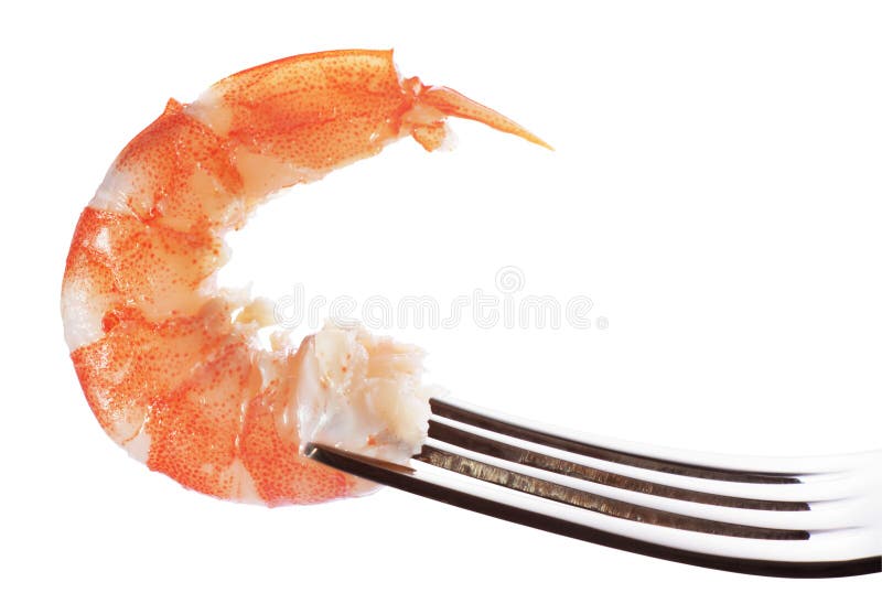 Raw prawn stock photo. Image of protein, lunch, seafood - 10761366