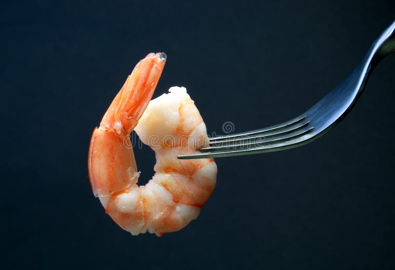 Hot prawn on a fork stock photo. Image of healthy, fork - 96035118