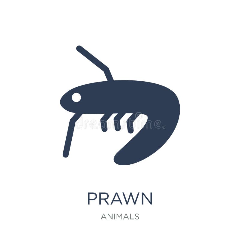 Prawn Icon. Trendy Flat Vector Prawn Icon on White Background Fr Stock ...