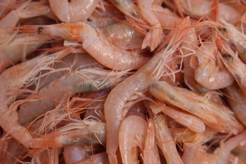 Prawn Image Texture Pattern Stock Image - Image of vegetable, animal ...