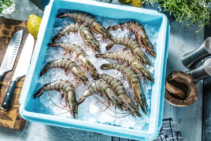 Prawn Newly Fished and Stored in Boxes with Ice Stock Image - Image of ...