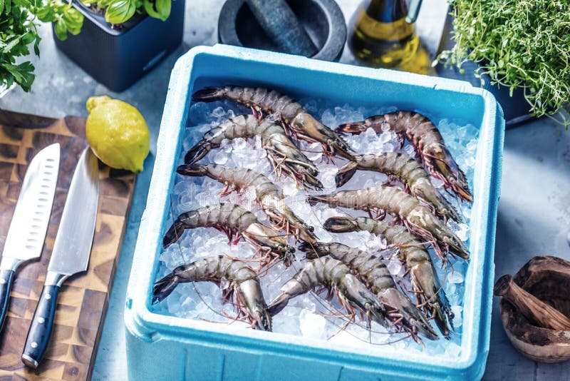 Prawn Newly Fished and Stored in Boxes with Ice. Stock Photo - Image of ...