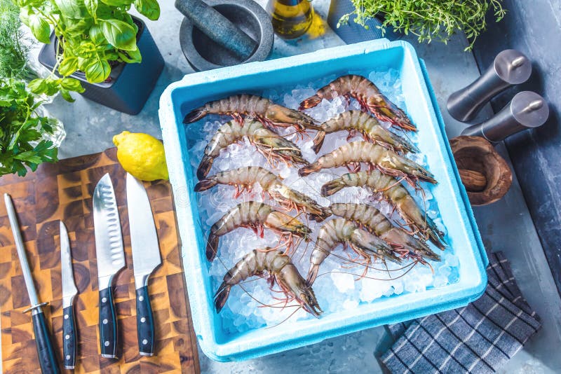 Prawn Newly Fished and Stored in Boxes with Ice. Stock Photo - Image of ...