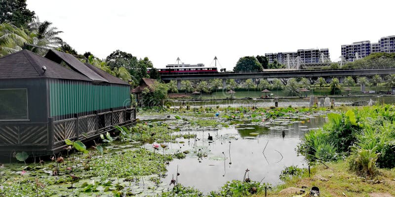 Prawn ponds at Orto stock image. Image of lakehouse - 186503765