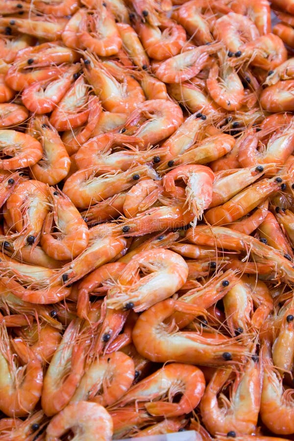 Red prawn in a market. stock photo. Image of prawns, europe - 46821226