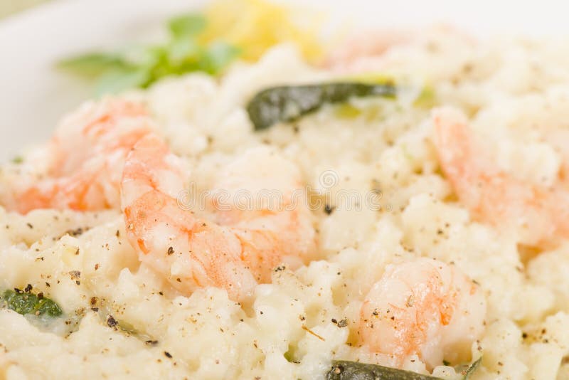 Prawn Risotto Bianco stock image. Image of lemon, food - 33129507