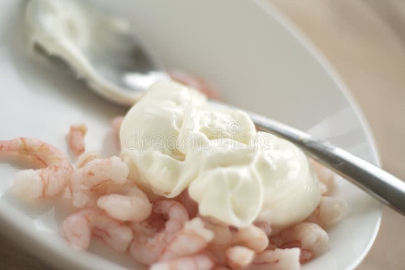 Prawn Star stock photo. Image of mayo, mayonaise, contemporary - 3049106