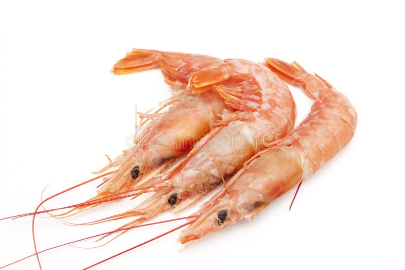 Prawn three stock image. Image of snack, nutrition, seafood - 25563829