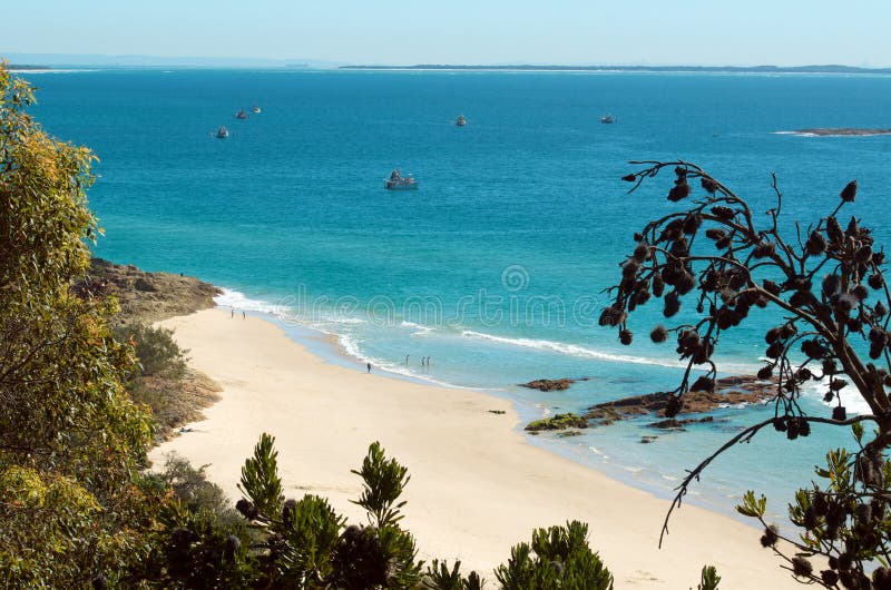 Prawn Trawlers stock photo. Image of trawlers, fishing - 26056746