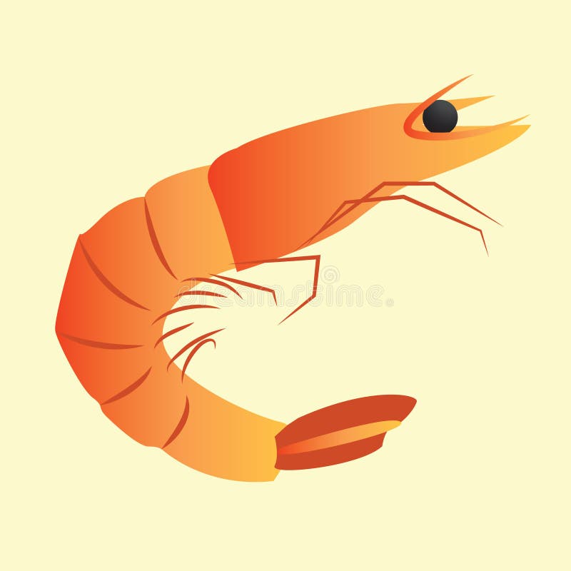 Prawn. Vector Illustration Decorative Design Stock Vector ...