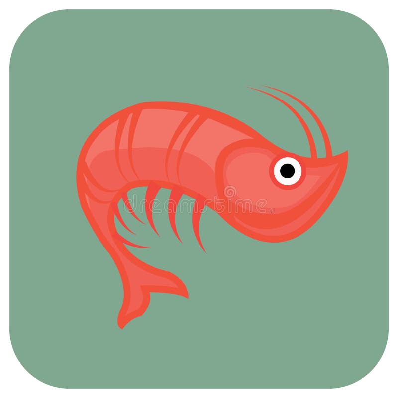 Prawn. Vector Illustration Decorative Design Stock Vector ...
