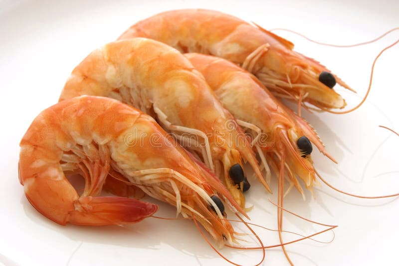 Prawns stock photo. Image of spurs, tasty, legs, eyes - 1049592