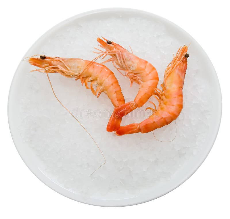 Prawns stock photo. Image of crustacean, prepared, plate - 10926342