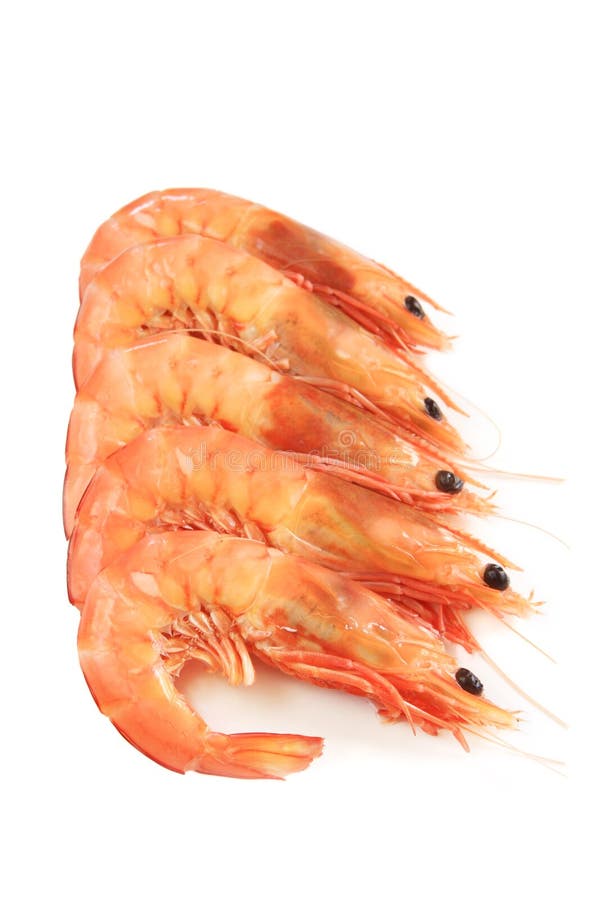 Prawns stock photo. Image of prawns, tiger, seafood, shrimp - 3441904