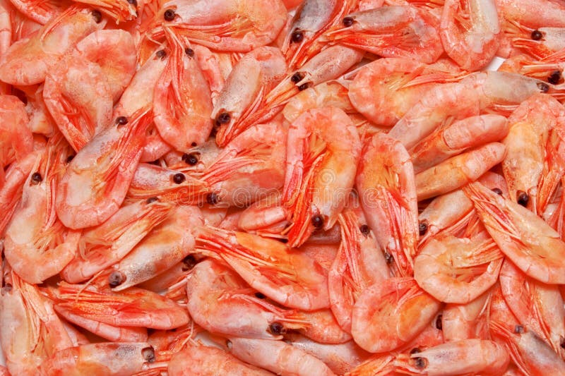 Prawns stock image. Image of garnish, fine, cuisine, close - 3918879