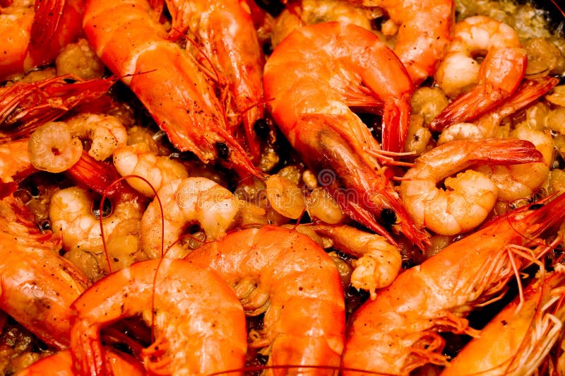 Prawns stock image. Image of close, market, culinary, prawn - 7603237