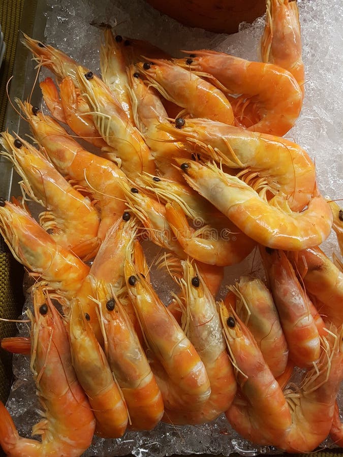 Prawns buffet stock photo. Image of prawns, recipe, dendrobranchiata ...