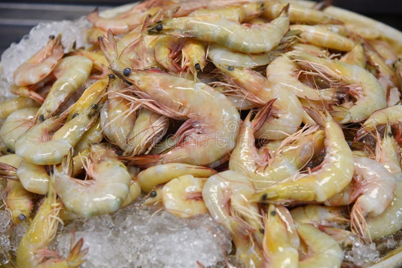 Prawns stock image. Image of closeup, prawn, fresh, market - 137662869