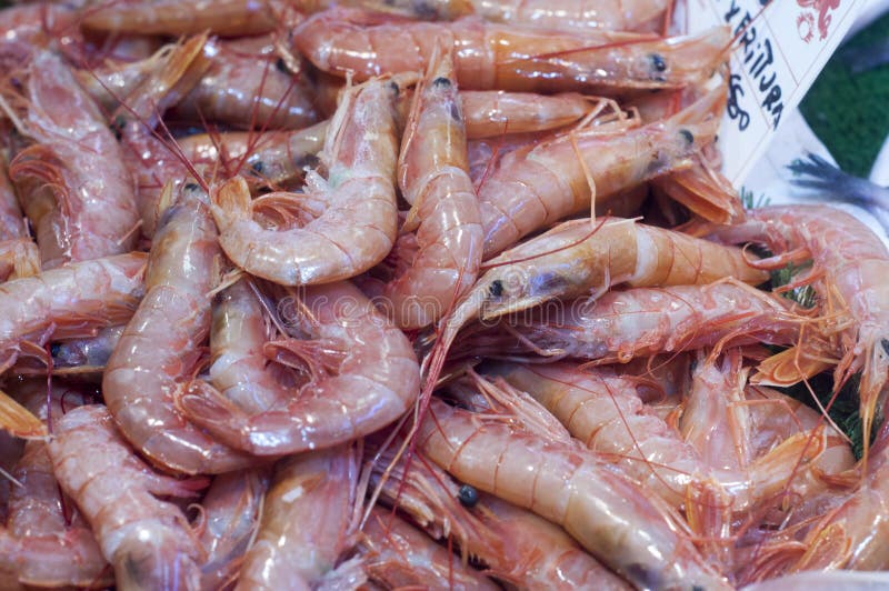 Prawns in Display at Market Stock Photo - Image of uncooked, styrofoam ...