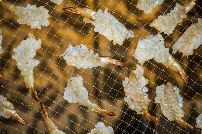 Prawns drying on a rack stock photo. Image of prawn, china - 88457236