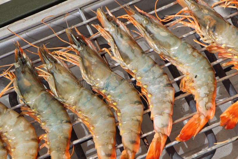 Prawns on Electric Barbecue Stock Image - Image of fresh, electric ...