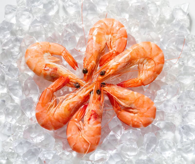 Raw Fish and Seafood in Ice Stock Image - Image of fresh, travel: 42977727