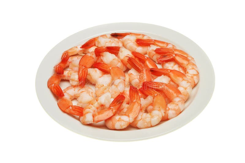 Prawns on plate stock photo. Image of white, protein, arrangement - 8512858