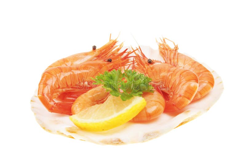 Prawns in shell stock photo. Image of seafood, isolated - 11020506