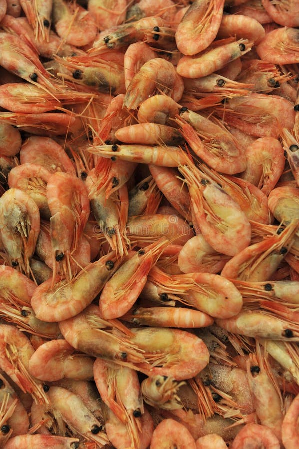Prawns & Shrimp stock image. Image of seafood, orange - 34718085