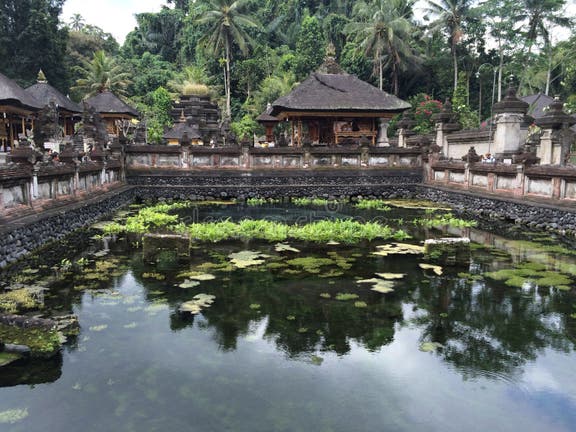 Pray stock photo. Image of sacred, temple, pray, ubud - 78912886