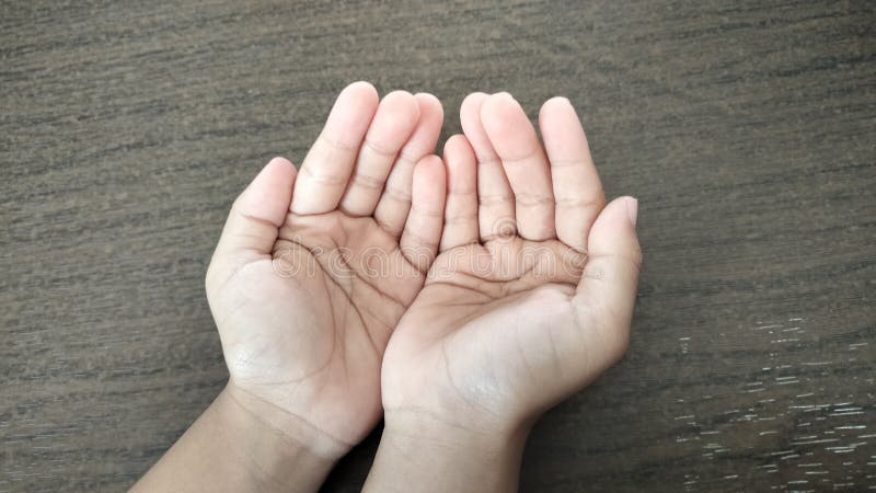 Woodwoodswooden Stock Photos - Free & Royalty-Free Stock Photos from ...