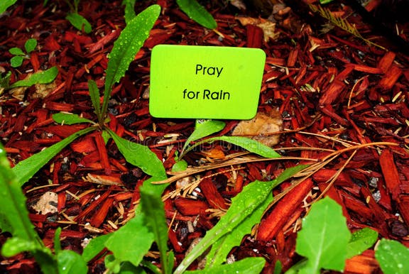 Pray for Rain stock photo. Image of pray, rain, chips - 12894924