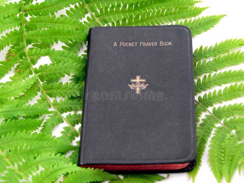 Prayer Book and Fern stock photo. Image of details, pocket - 6075866