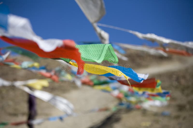 Hindu prayer ritual stock photo. Image of indian, pradesh - 26082774