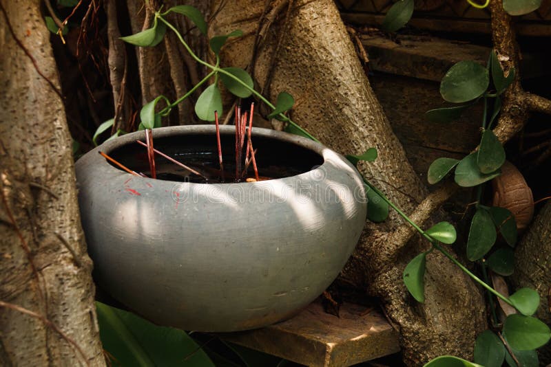 Prayer Incense Sticks in a Ceramic Pot at the Foot of a Tree Stock ...