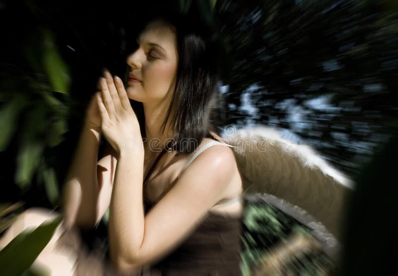 Praying fairy front blur stock photo. Image of leaves - 2439858