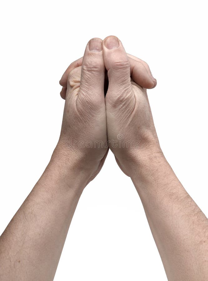 Praying hands stock image. Image of fingers, sample, company - 21478737