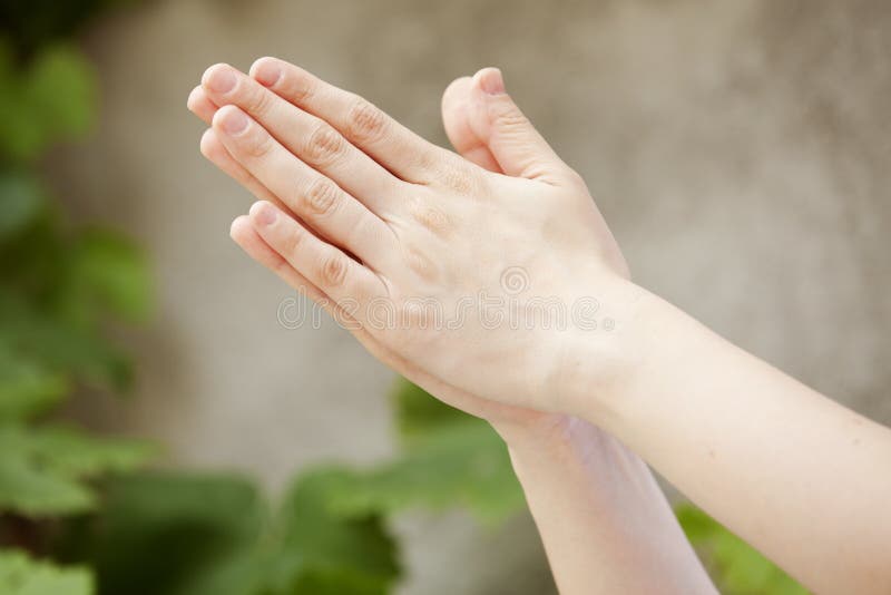 Praying hands stock image. Image of pray, hand, meditation - 27776787