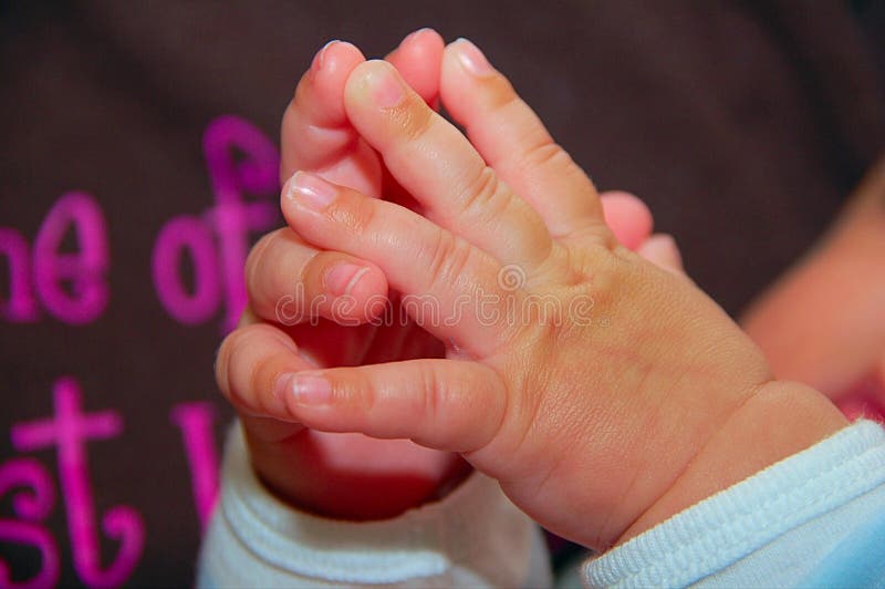 Praying hands stock image. Image of precious, praying - 70246657