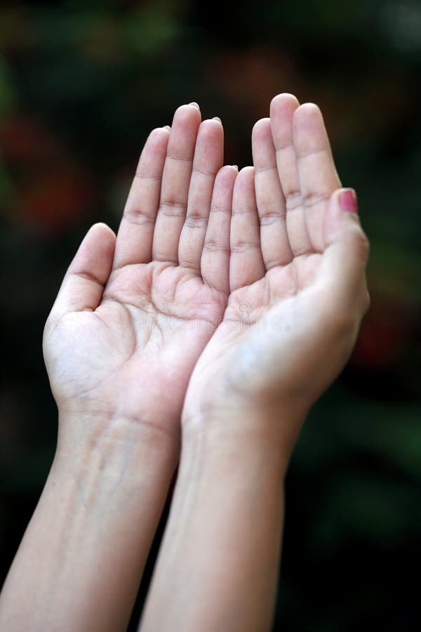 Praying hands stock image. Image of freedom, forgiveness - 79590233