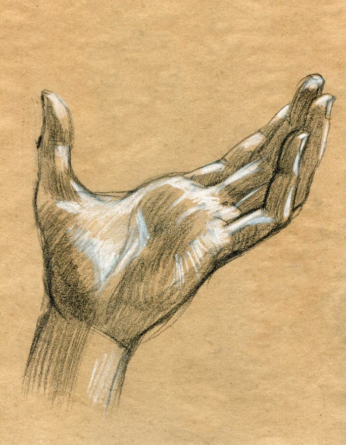 Praying Hands Drawing Illustration Realistic Sketch Stock Illustration ...
