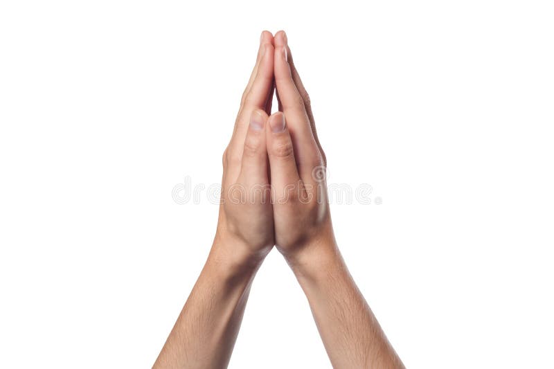 Praying Hands on White Background Stock Illustration - Illustration of spiritual, mindfulness ...